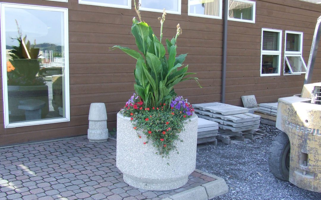 Our Precast Concrete Planters • Reading Precast